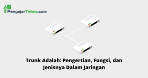 Trunk Adalah: Pengertian, Fungsi, dan Jenisnya Dalam Jaringan ...