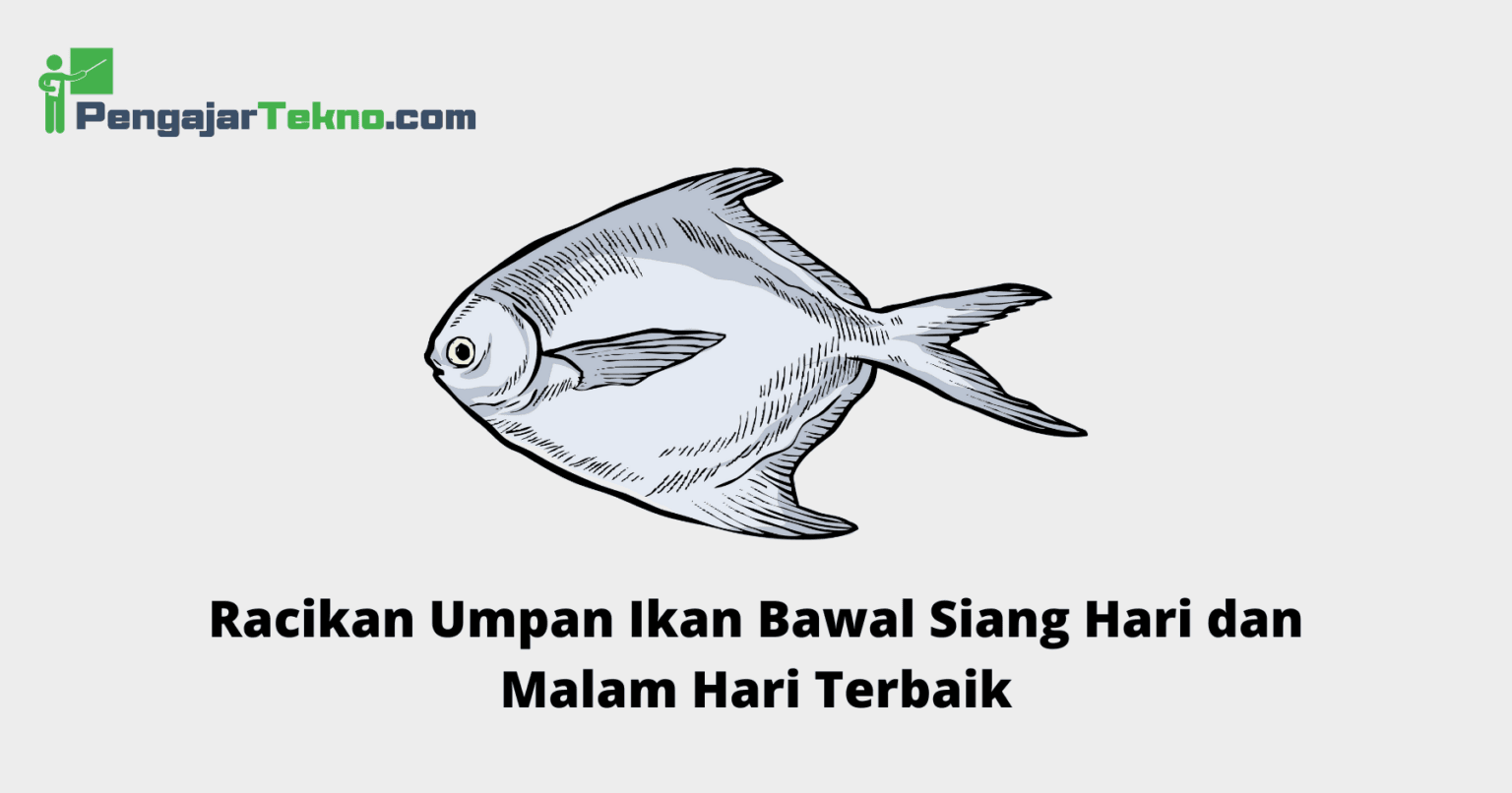 Racikan Umpan Ikan Bawal Siang Hari dan Malam Hari Terbaik - Pengajar Tekno