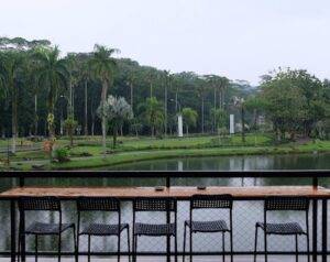 Desain Kedai Kopi Sederhana Outdoor Sederhana, Menarik, Elegan ...